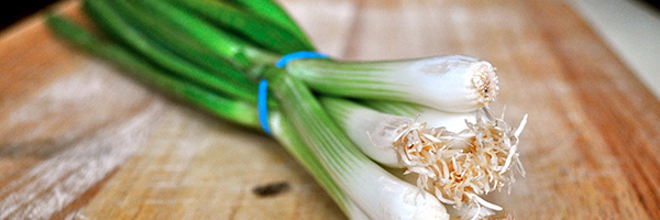 Como ter cebolinha fresca SEMPRE! - Receitas de Minuto - A Solução ...