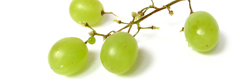 Como Escolher e Conservar Uvas! | Receitas de Minuto - A Solução ...