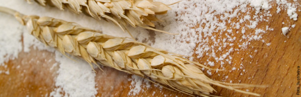 Truques de Cozinha #9 – Farináceos - Receitas de Minuto - A Solução ...