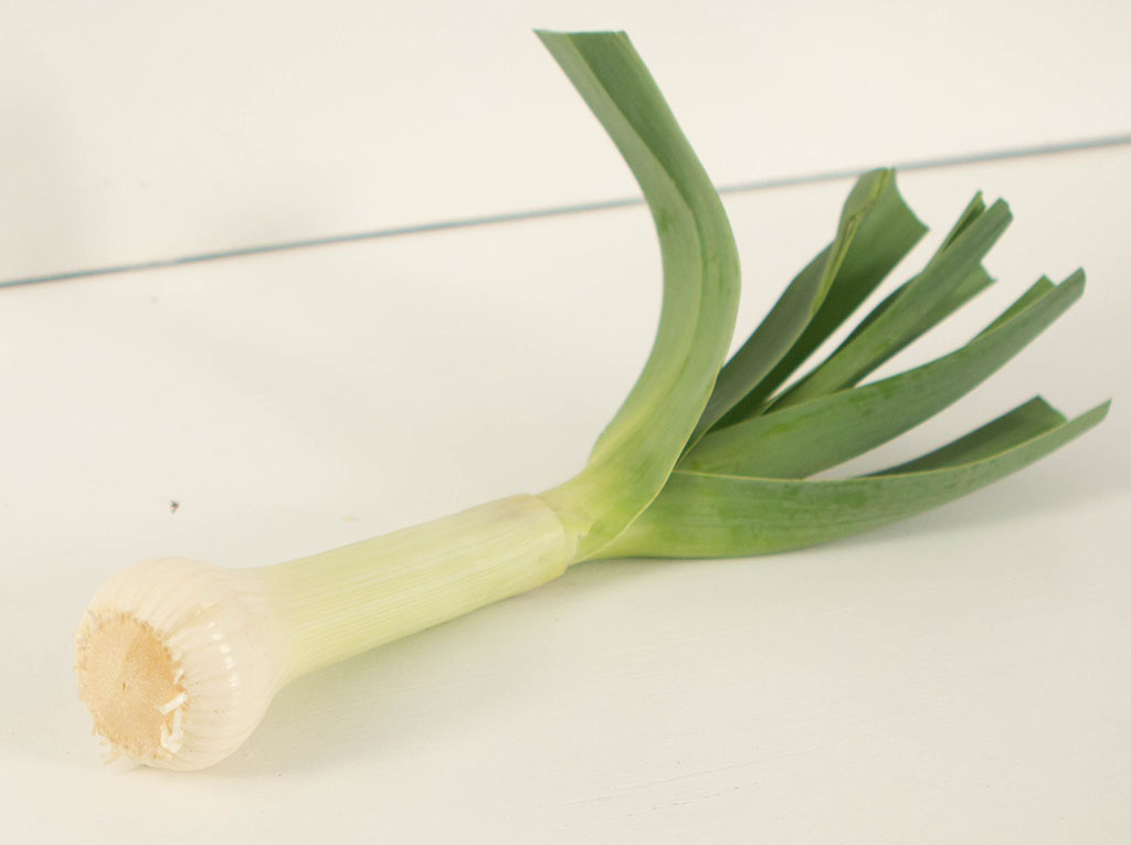 Alho Poró, o Vegetal Mais Admirado desde a Antiguidade - Receitas de ...